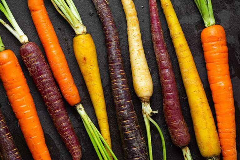 L'art de congeler les carottes pour préserver le goût et les vitamines ...